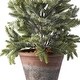 24-inch Potted Frosted Mini Spruce Trees (Set of 2) - On Sale - Bed ...