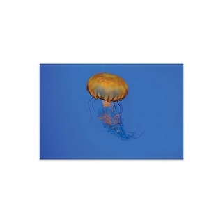 Jelly Print On Acrylic Glass by Alex Tonetti - Bed Bath & Beyond - 37536078