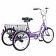 European Adult Tricycles - 26" 3-Wheel with Low Step-Through, Large ...