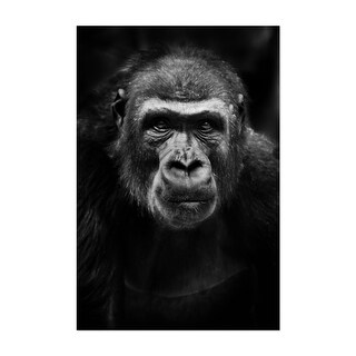 Anxious worried chimpanzee female close up Art Print/Poster - Bed Bath ...