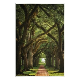Stupell Shadowed Tree Grove Wall Plaque Art Design By Martin Podt - Bed ...