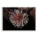 Stupell Aged Flower Curved Petals Pink Black Photograph Wood Wall Art ...
