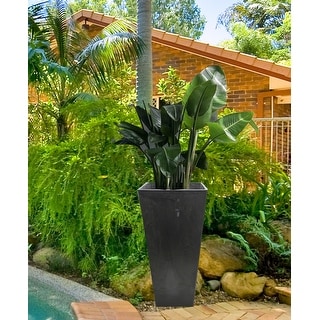 24In Square Black Plastic Planter - Bed Bath & Beyond - 33307389