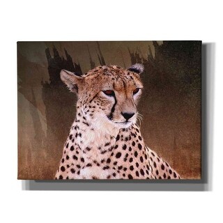 Epic Graffiti 'Wildness Cheetah' by Karen Smith, Canvas Wall Art - Bed ...