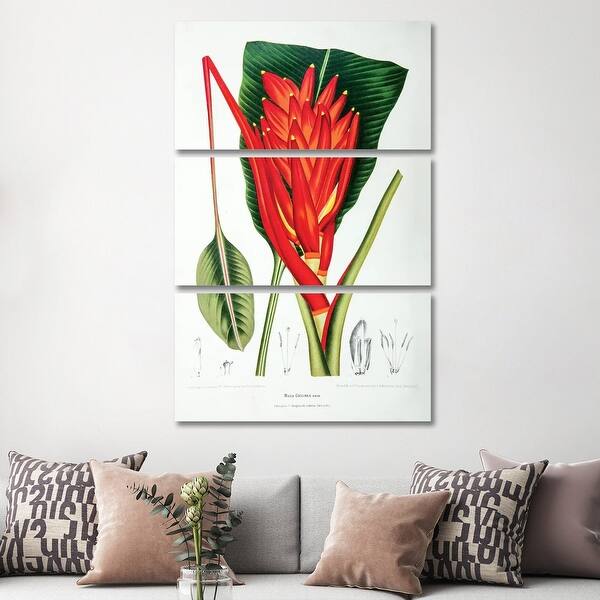 iCanvas "Musa Coccinea (Scarlet Banana)" by Berthe Hoola van Nooten 3 ...