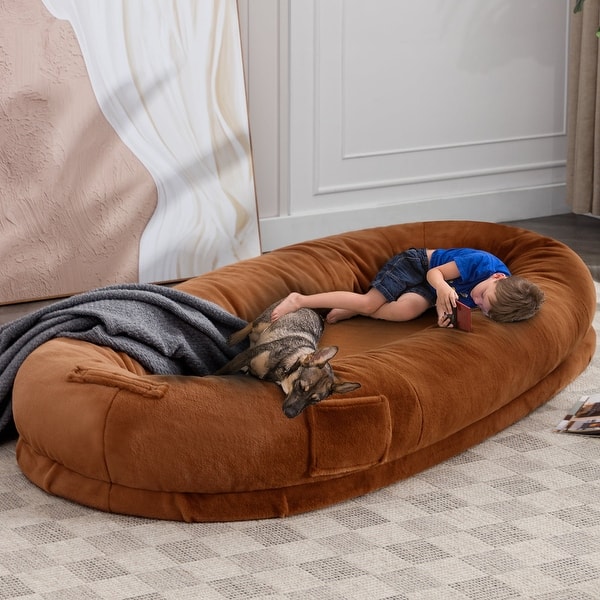dog human bed