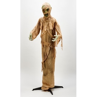 63" Standing Animated Shaking Mummy - Bed Bath & Beyond - 38316920