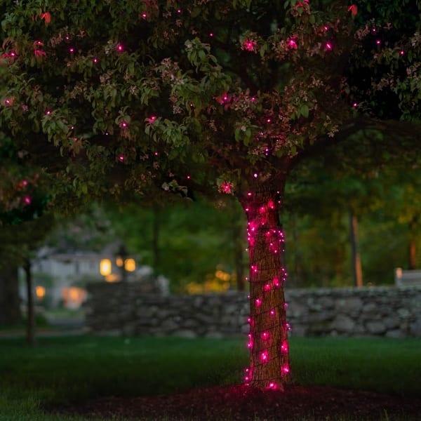 pink solar tree