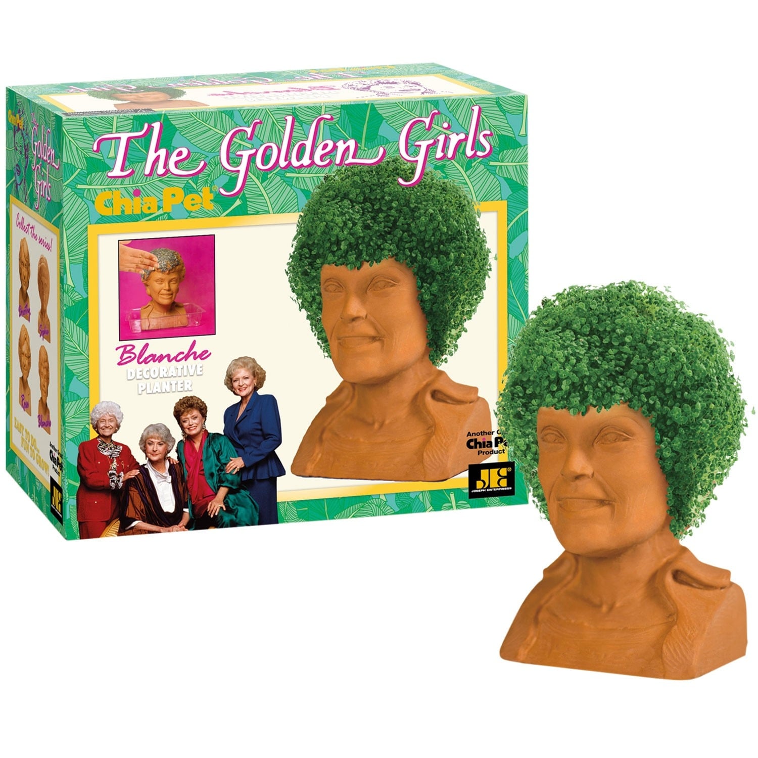 chia head wig