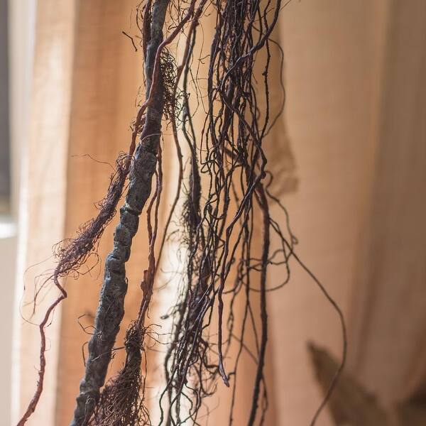 artificial tree roots