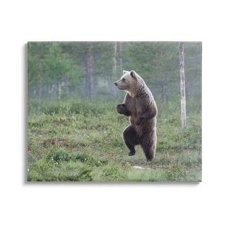 Stupell Dancing Bear in Forest Canvas Wall Art Design by Alex Jevon ...