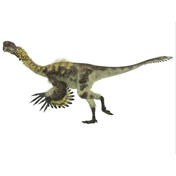 Citipati Dinosaur. Citipati Was A Omnivorous Theropod Dinosaur That ...