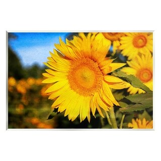 Stupell Country Sunflower Photography Wall Plaque Art Daniel Sproul ...