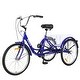 Tricycle Trikes with Basket, 26 Inch 3-Wheel Cruiser Bicycles - Bed ...