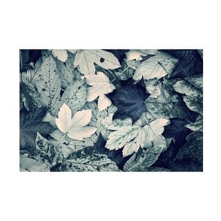 Incado 'Forest Floor' Canvas Art - Bed Bath & Beyond - 39535202
