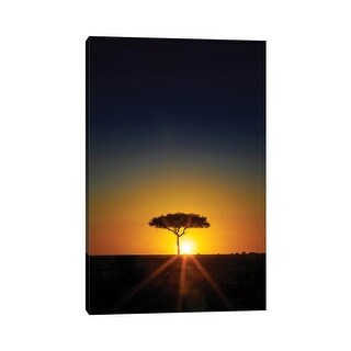 iCanvas "Acacia Tree On The Horizon At Sunset, Masai Mara" by Jane Rix ...