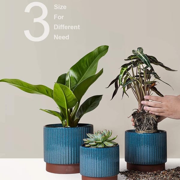 ceramic pots medium size