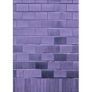 Ahgly Company Machine Washable Transitional Deep Periwinkle Purple Area ...