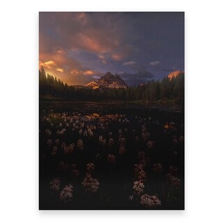 Alberto Ghizzi Panizza 'Even The Flowers Seem To Be Fascinated ...