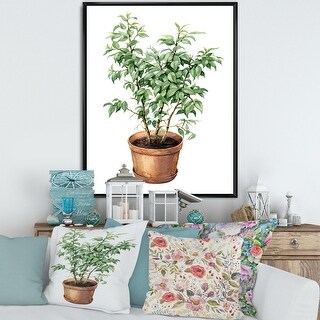Designart "Ficus Benjamina In Clay Flowerpot" Traditional Framed Canvas Wall Art Print - Bed ...