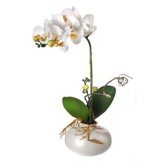 Mini Phaleanopsis In Ceramic Pot 15" - Bed Bath & Beyond - 40011545