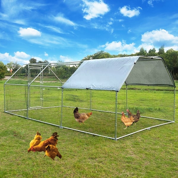 large chicken run