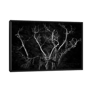 iCanvas "Wicked Tree" by Dennis Frates Framed - Bed Bath & Beyond ...