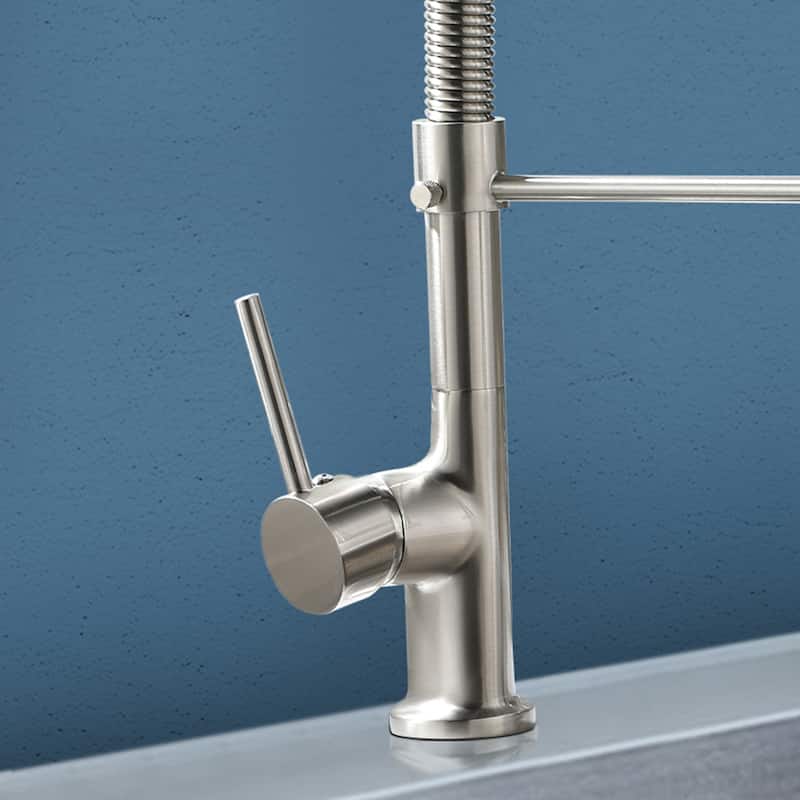 Topcraft Pull Down Stainless Steel Kitchen Faucet with Sprayer - On ...