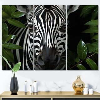 Designart "Striking Zebra Patterns III" Animals Canvas Wall Art Set ...