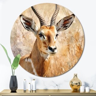 Designart "Graceful Antelope VIII" Animals Large Metal Circle Prints ...