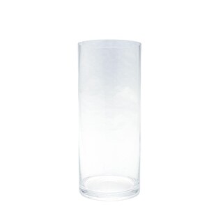 12" Clear Cylindrical Hand Blown Glass Vase - Bed Bath & Beyond - 28682629