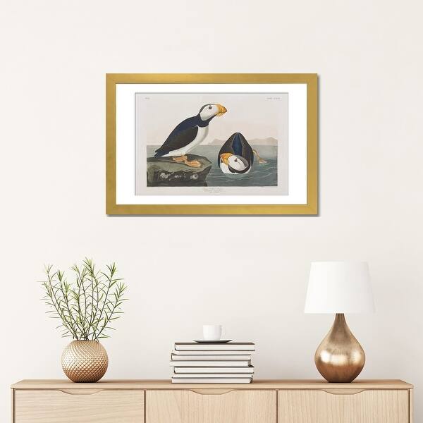 large billed puffin