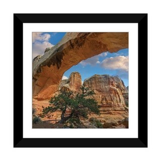 iCanvas "Arch, Hickman Bridge, Capitol Reef National Park, Utah" by Tim ...