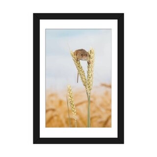 iCanvas "Ohhh Hello - Harvest Mouse" by Dean Mason PFA - Bed Bath ...