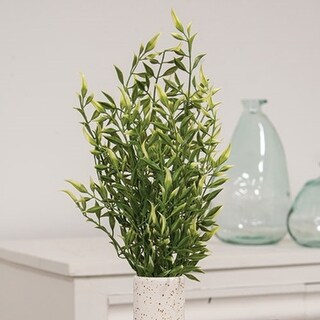 Cream Tipped Smilax Bush - 21" - Multi - Bed Bath & Beyond - 41713191