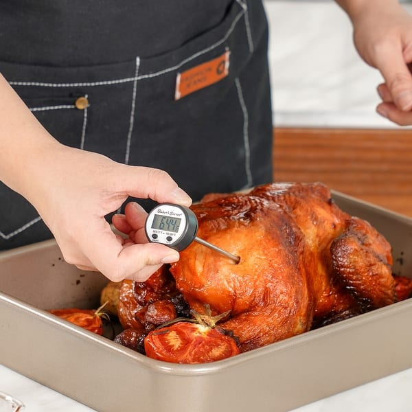 expensive meat thermometer