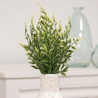 Cream Tipped Smilax Bush - 14" - Multi - Bed Bath & Beyond - 41712413