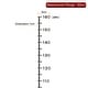 2set Height Chart Ruler 160cm Metric System PVC with Transfer Film ...