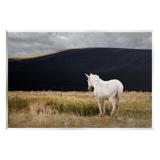 Stupell Lone White Horse Vast Country Pasture Wall Plaque, Design By ...