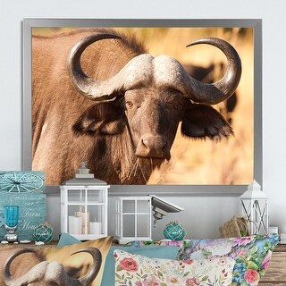 Designart "African Cape Buffalo Head" Traditional Framed Wall Decor ...
