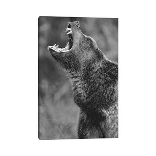 iCanvas "Grizzly Bear calling, North America" by Tim Fitzharris Canvas ...