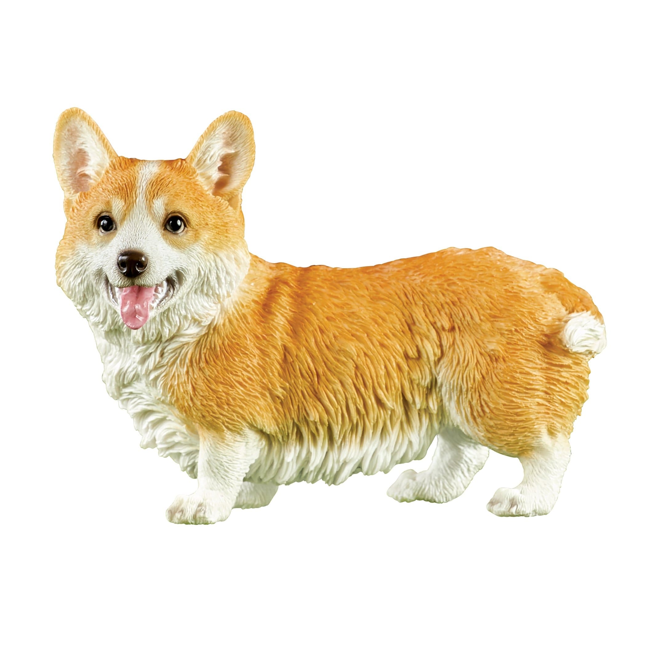 corgi direct