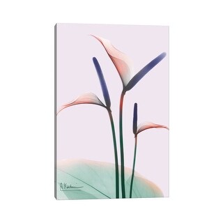 iCanvas "Flamingo Delight I" by Albert Koetsier Canvas Print - Bed Bath ...