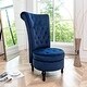Gosser 20" Wide Velvet High Back Vanity Chair - Bed Bath & Beyond ...