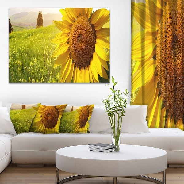 sunflower landscape design