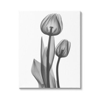 Stupell Contemporary Transparent Tulip Canvas Wall Art, Design by ...