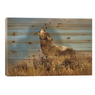 Timber Wolf Adult Howling, Teton Valley, Idaho Print On Wood by Tom ...