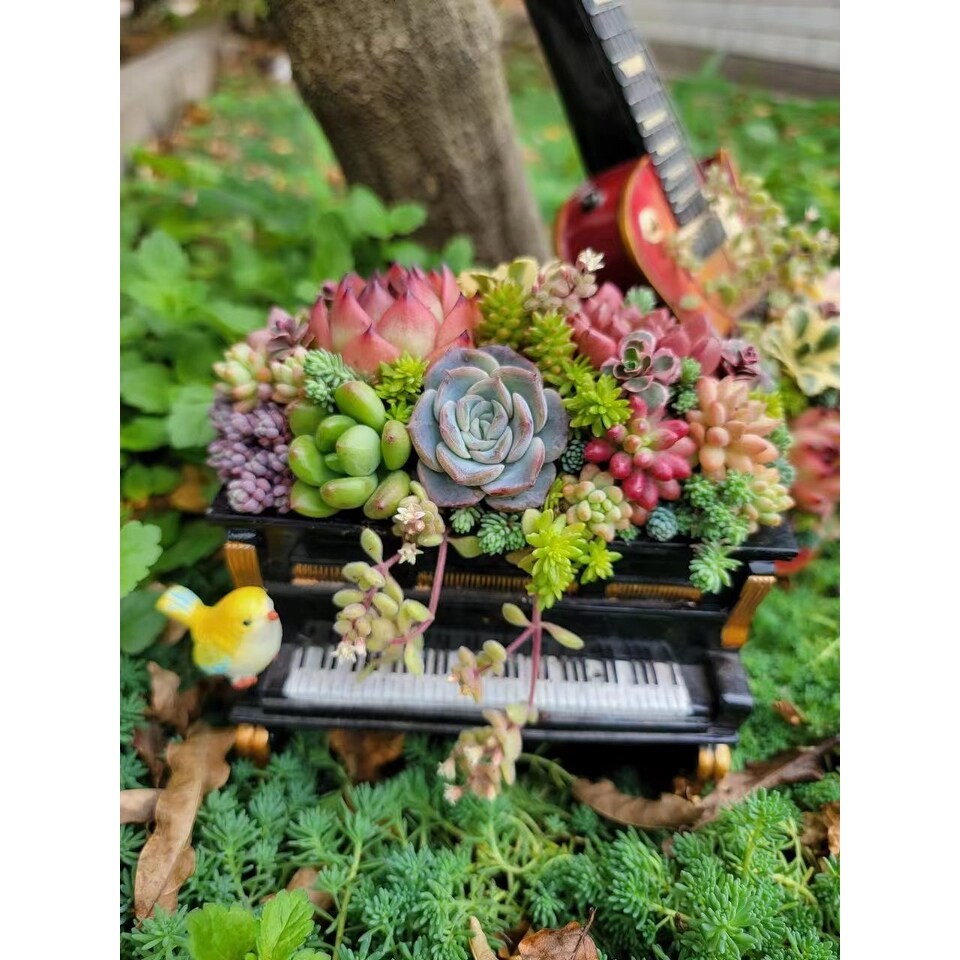 Artificial Succulents - Bed Bath & Beyond