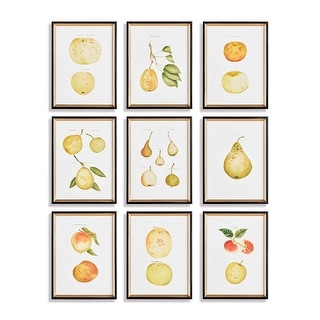 Assorted Fruits Study - Bed Bath & Beyond - 40022549