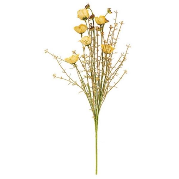 mayflower flower color